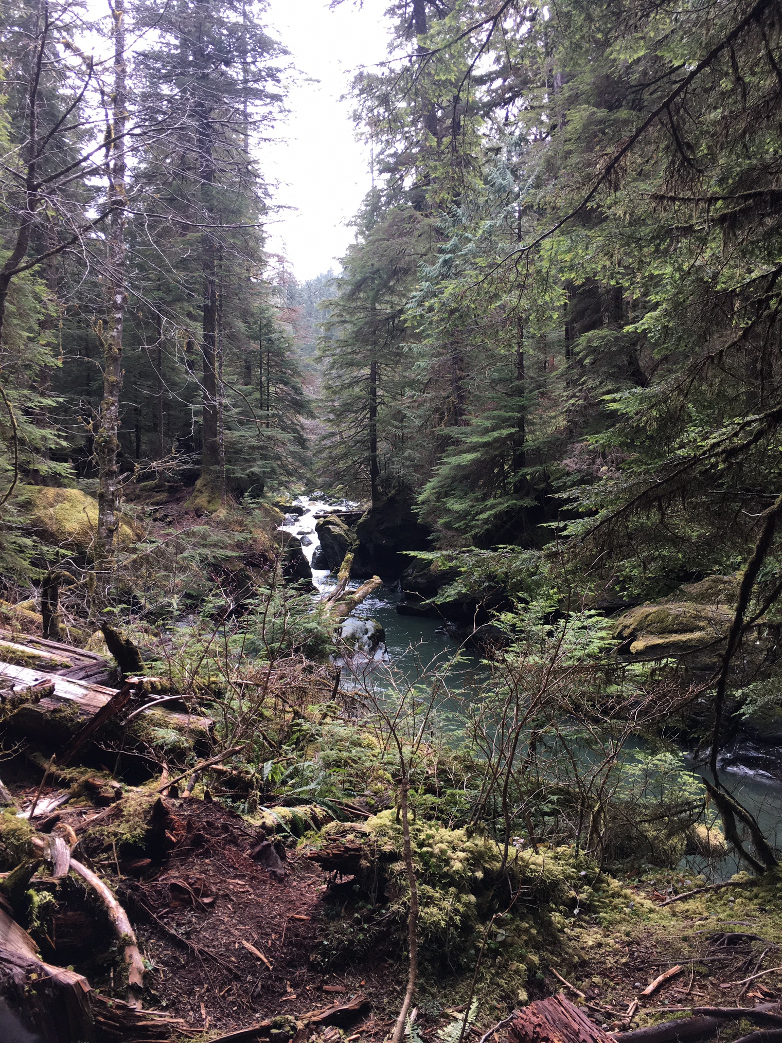 Boulder River — Washington Trails Association