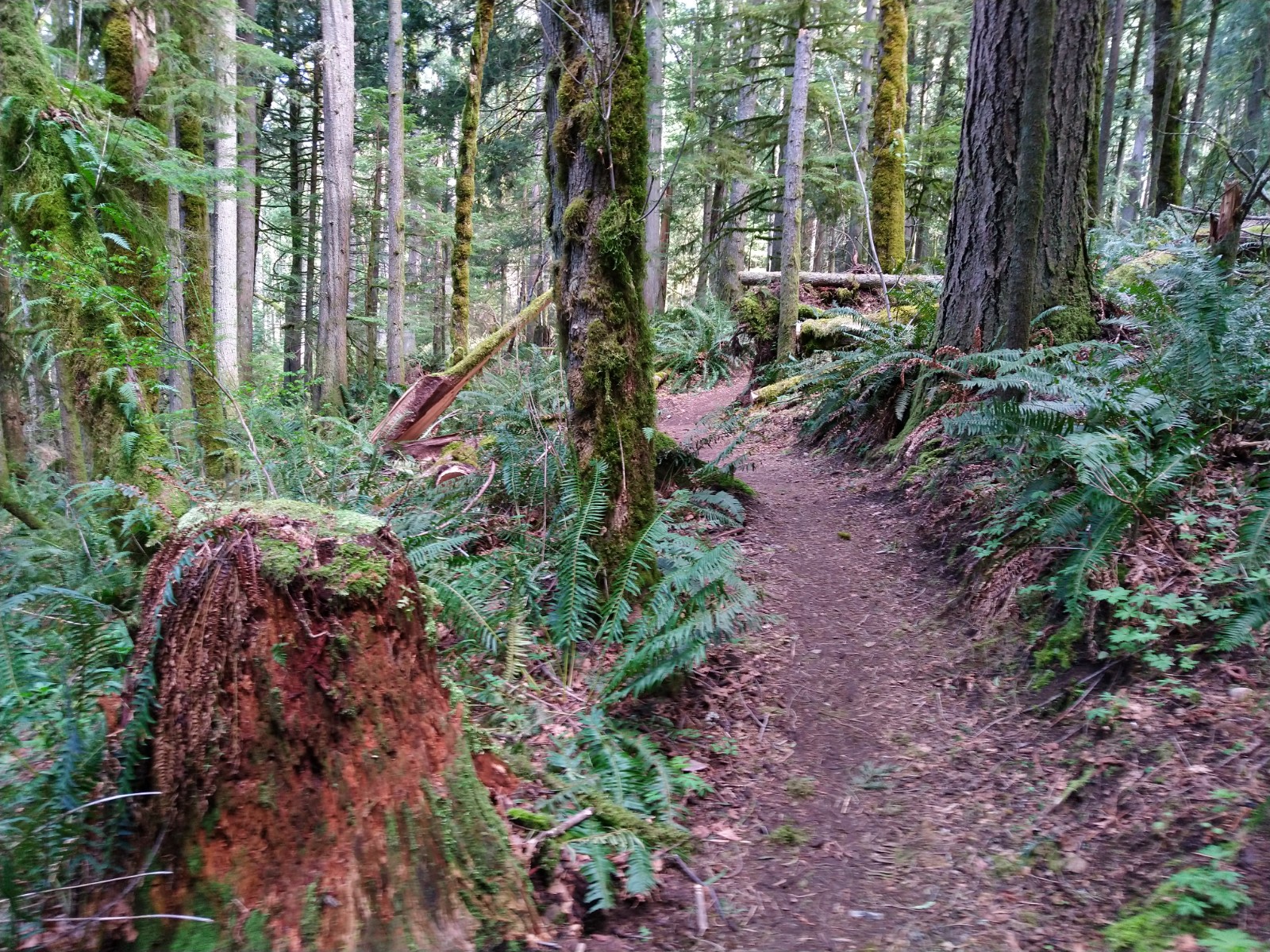 High Point Trail, Lingering Trail, Dwight's Way, Preston Trail, West ...