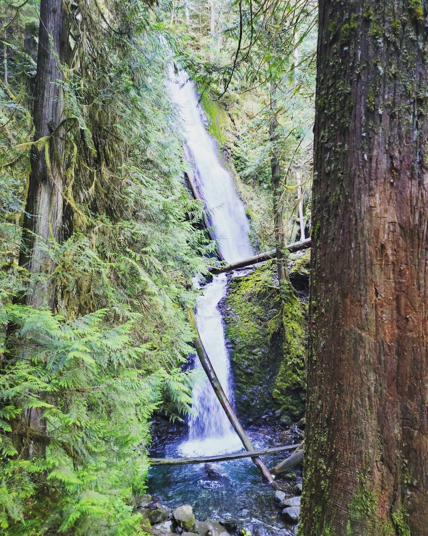 Murhut Falls — Washington Trails Association