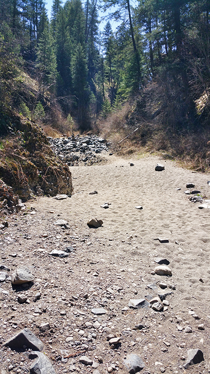 Riverside State Park - Deep Creek Canyon — Washington Trails Association