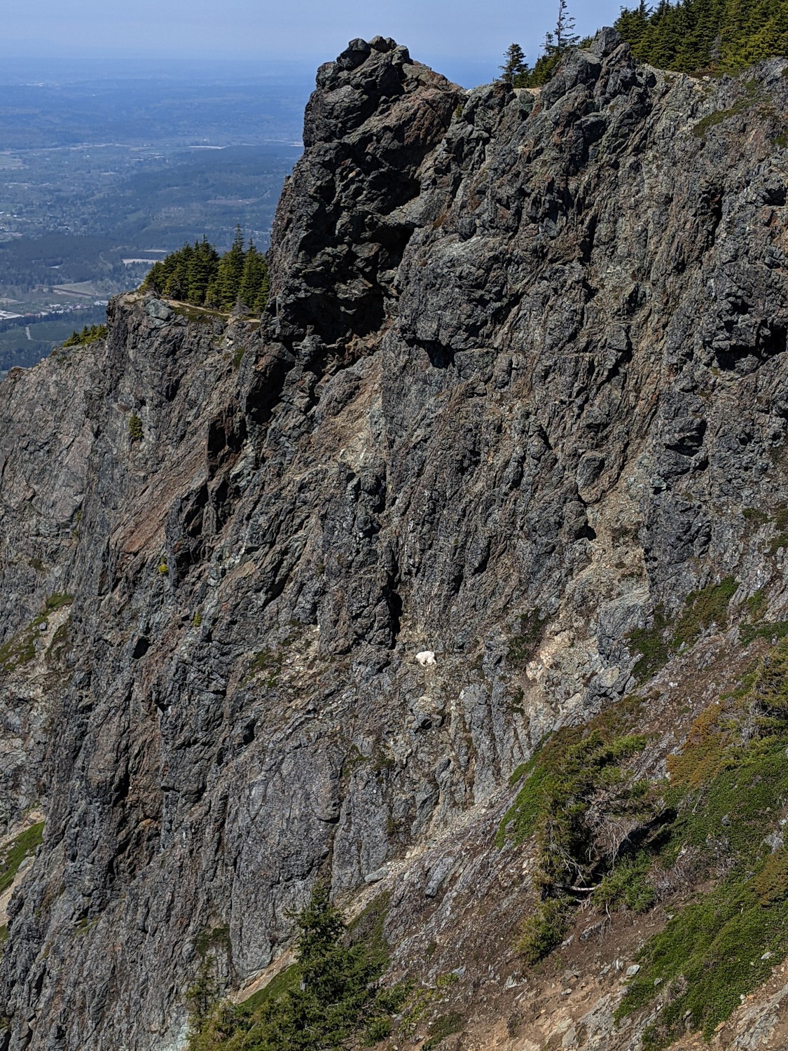 Mount Si — Washington Trails Association