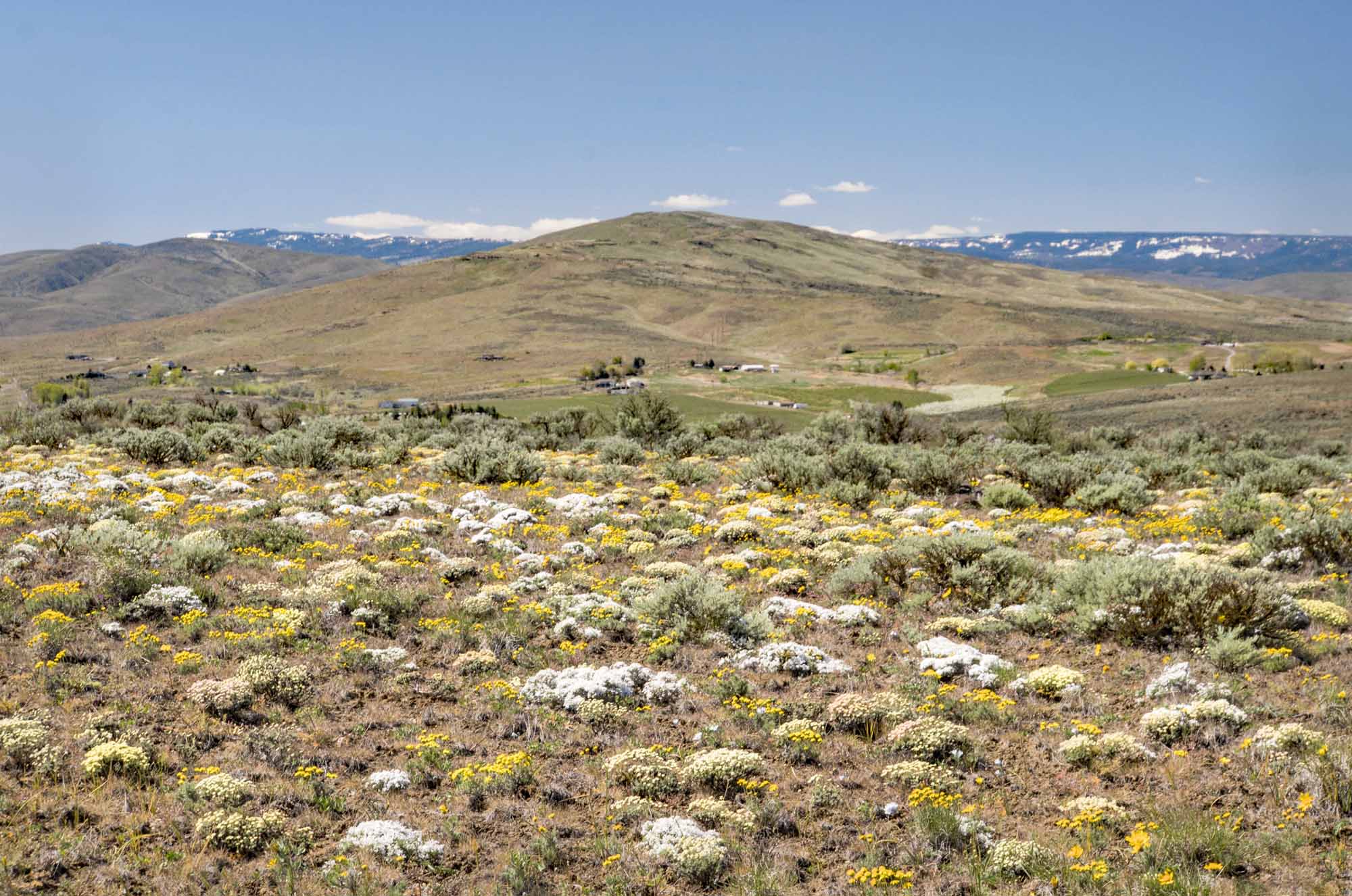 Cowiche Canyon Preserve — Washington Trails Association