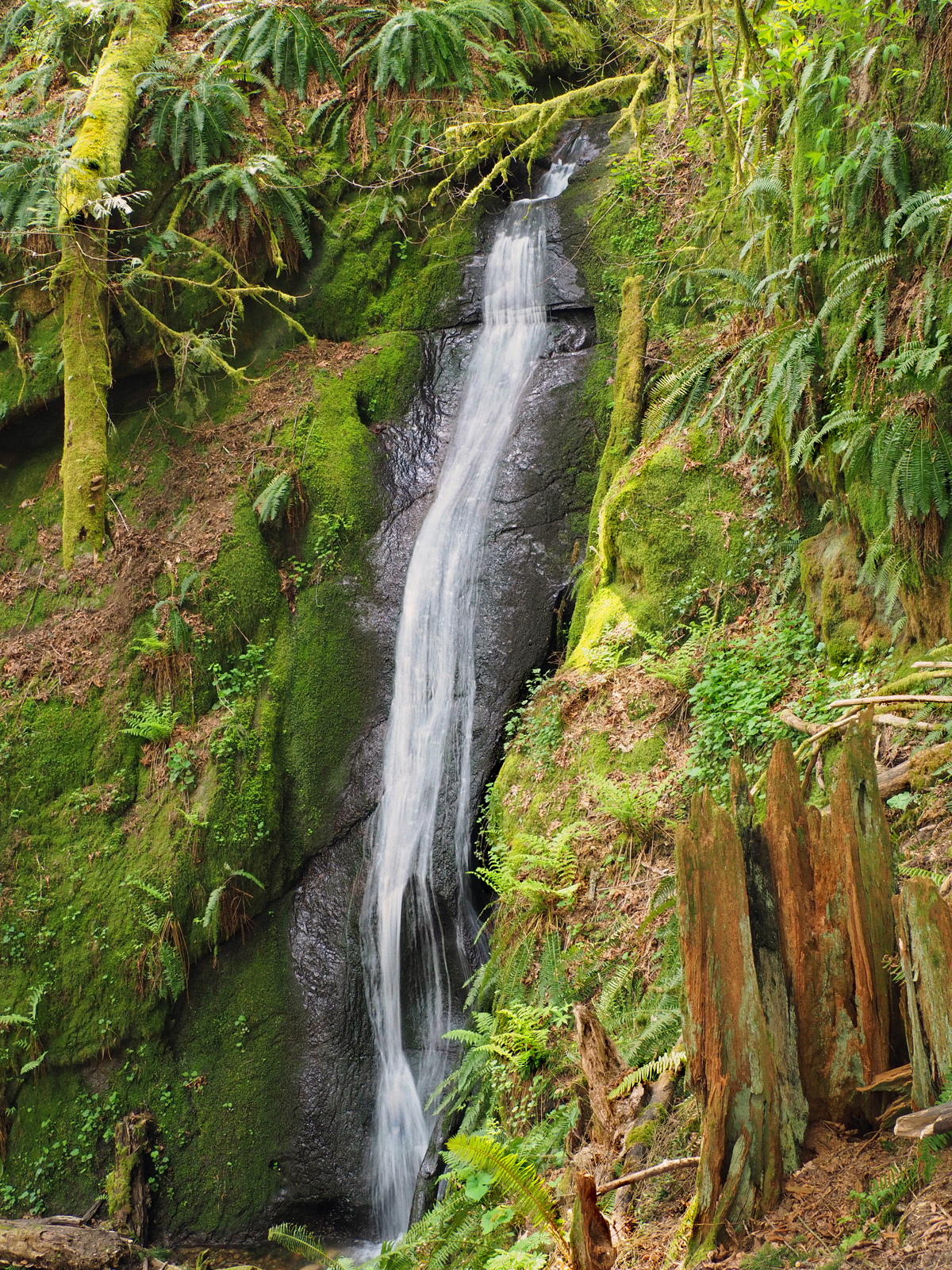 Larrabee State Park - Chuckanut Falls, Interurban Trail, Hemlock Trail ...