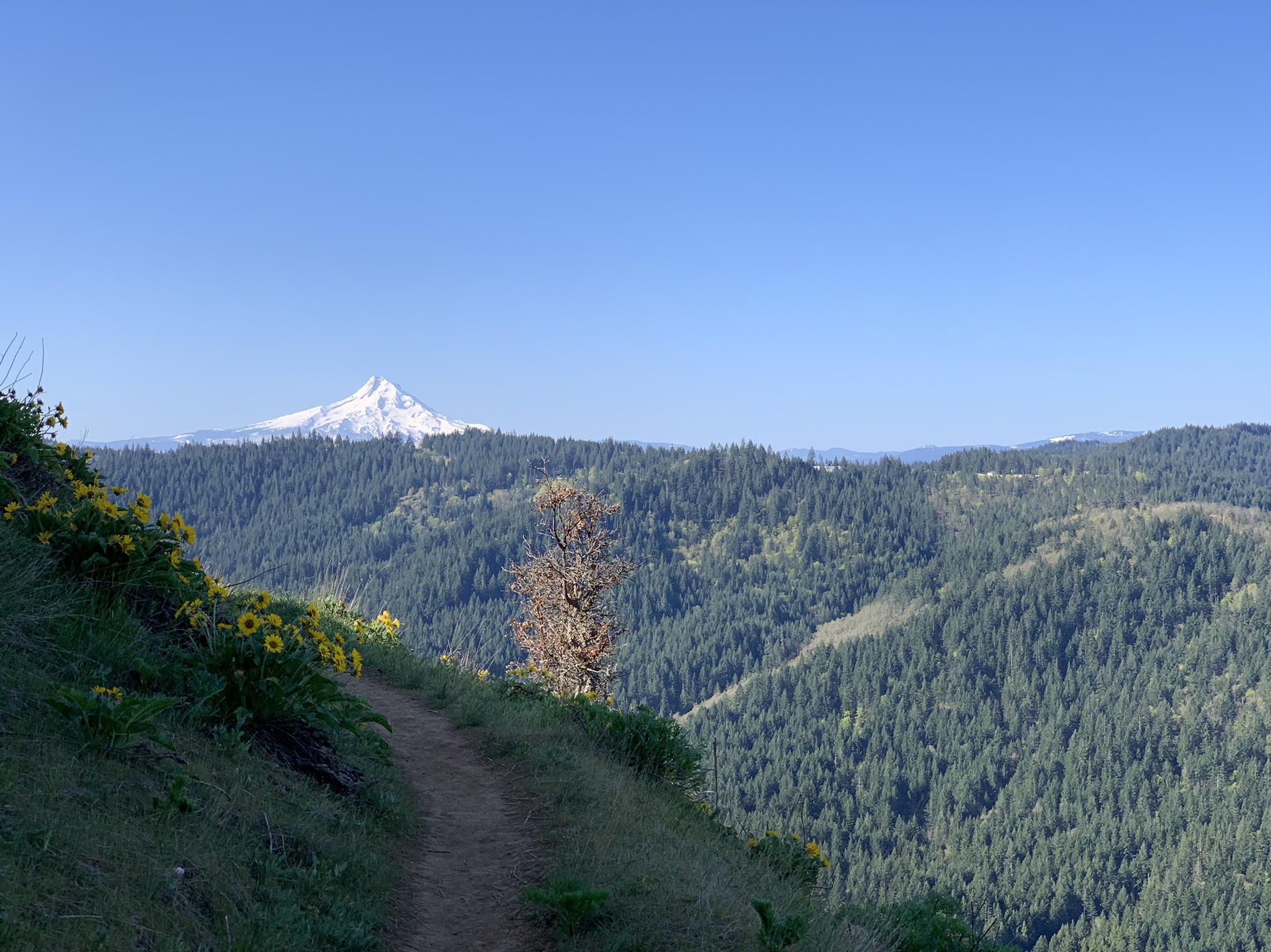 Weldon Wagon Road — Washington Trails Association