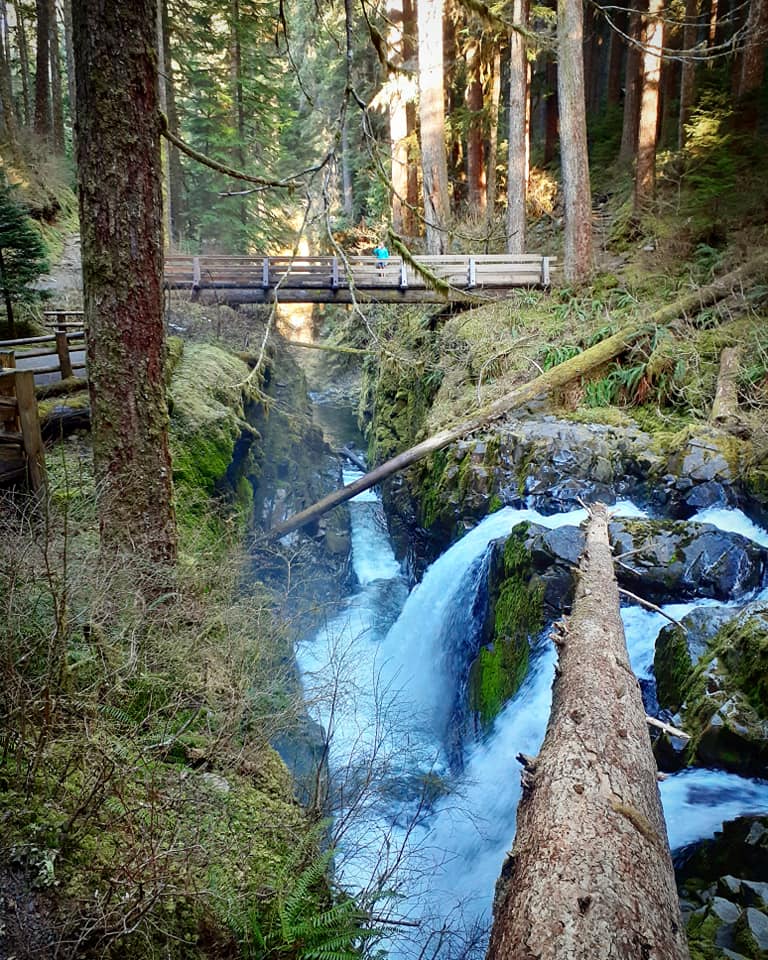 Sol Duc Falls — Washington Trails Association