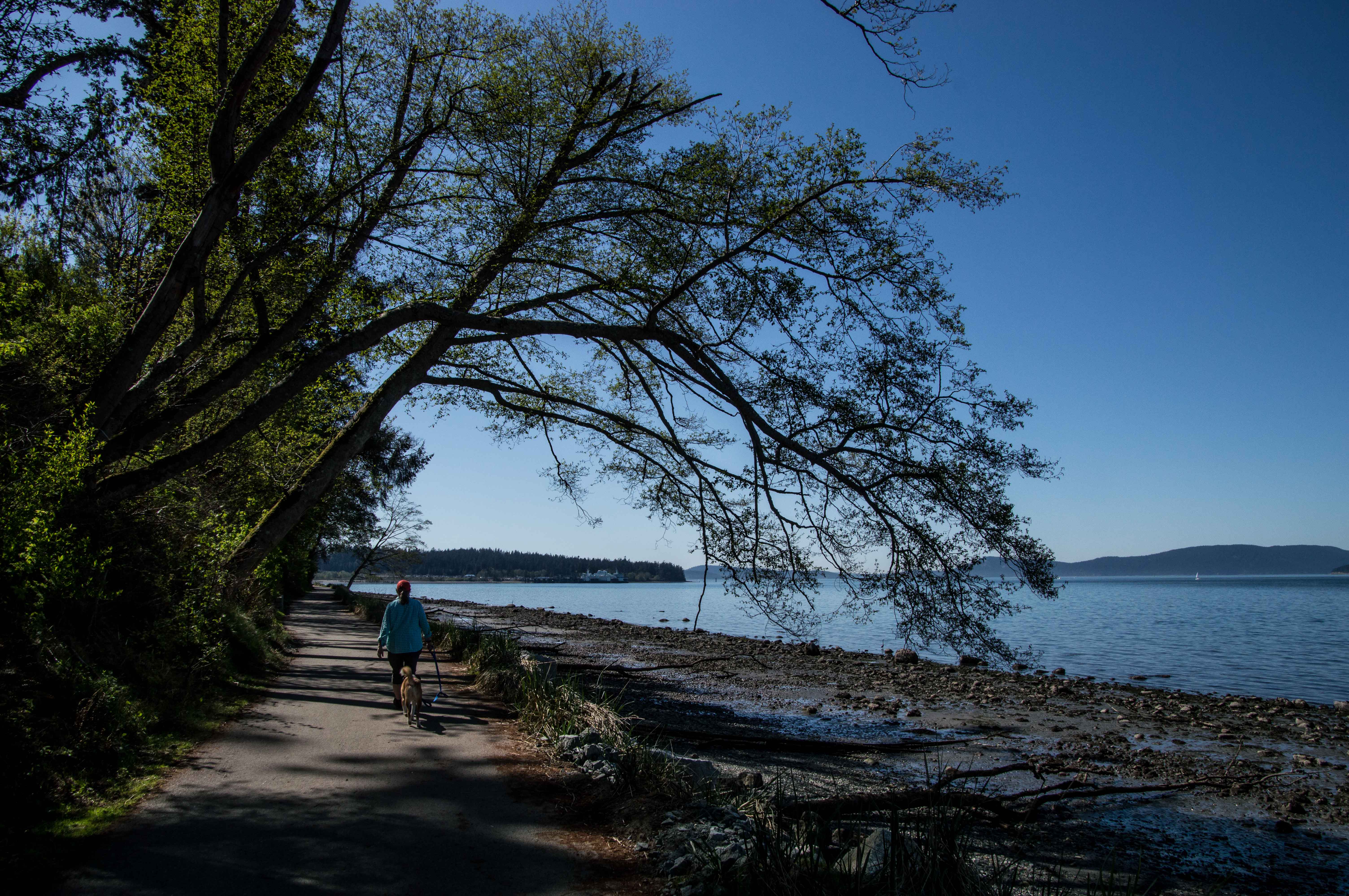 Guemes Channel and Ship Harbor — Washington Trails Association