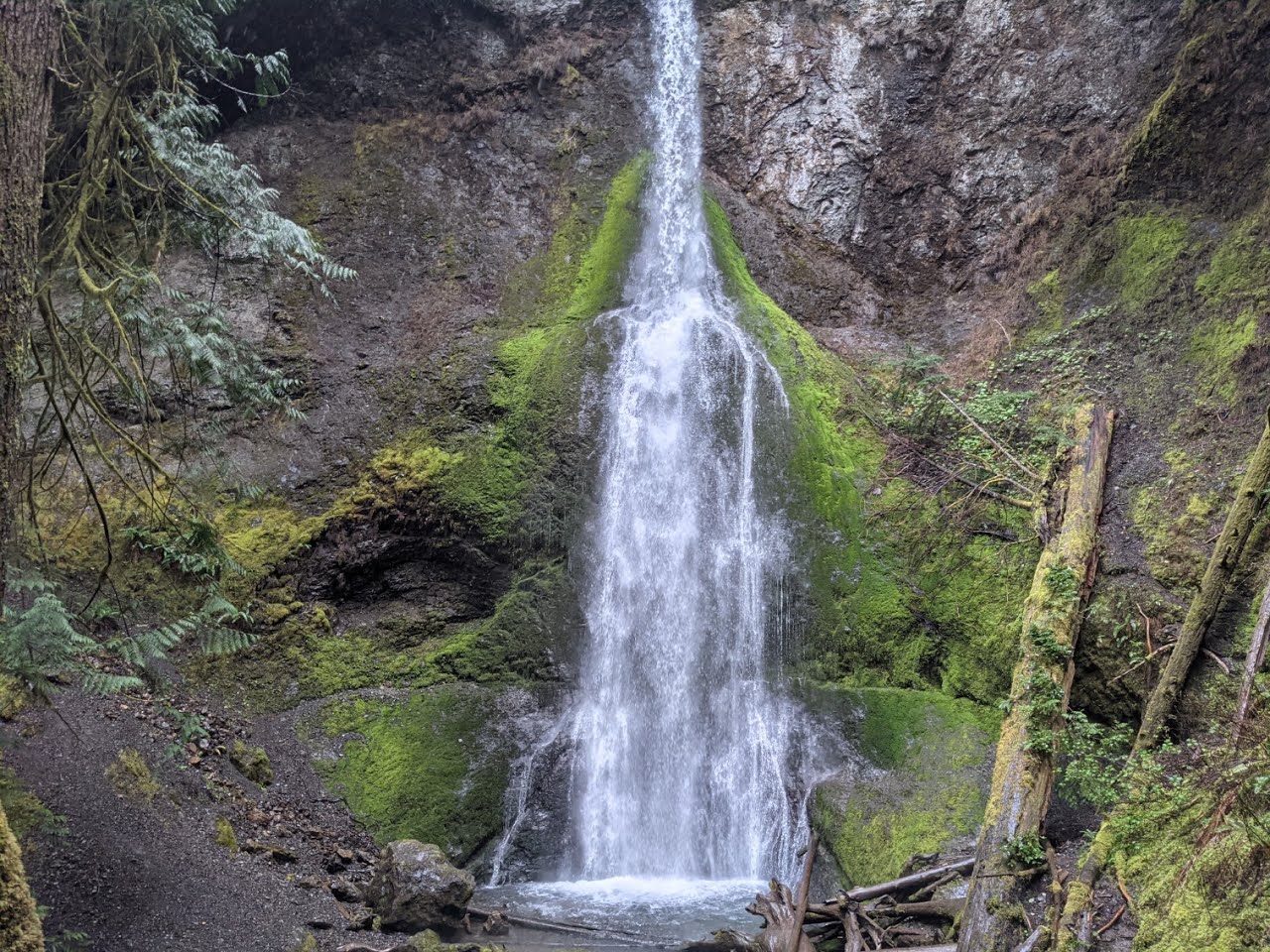 Marymere Falls — Washington Trails Association