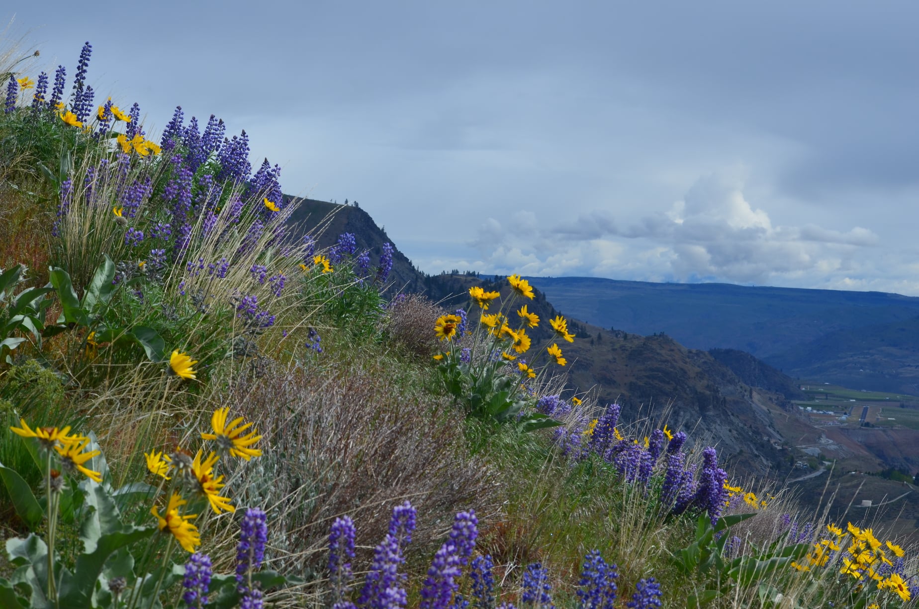 Chelan Butte — Washington Trails Association