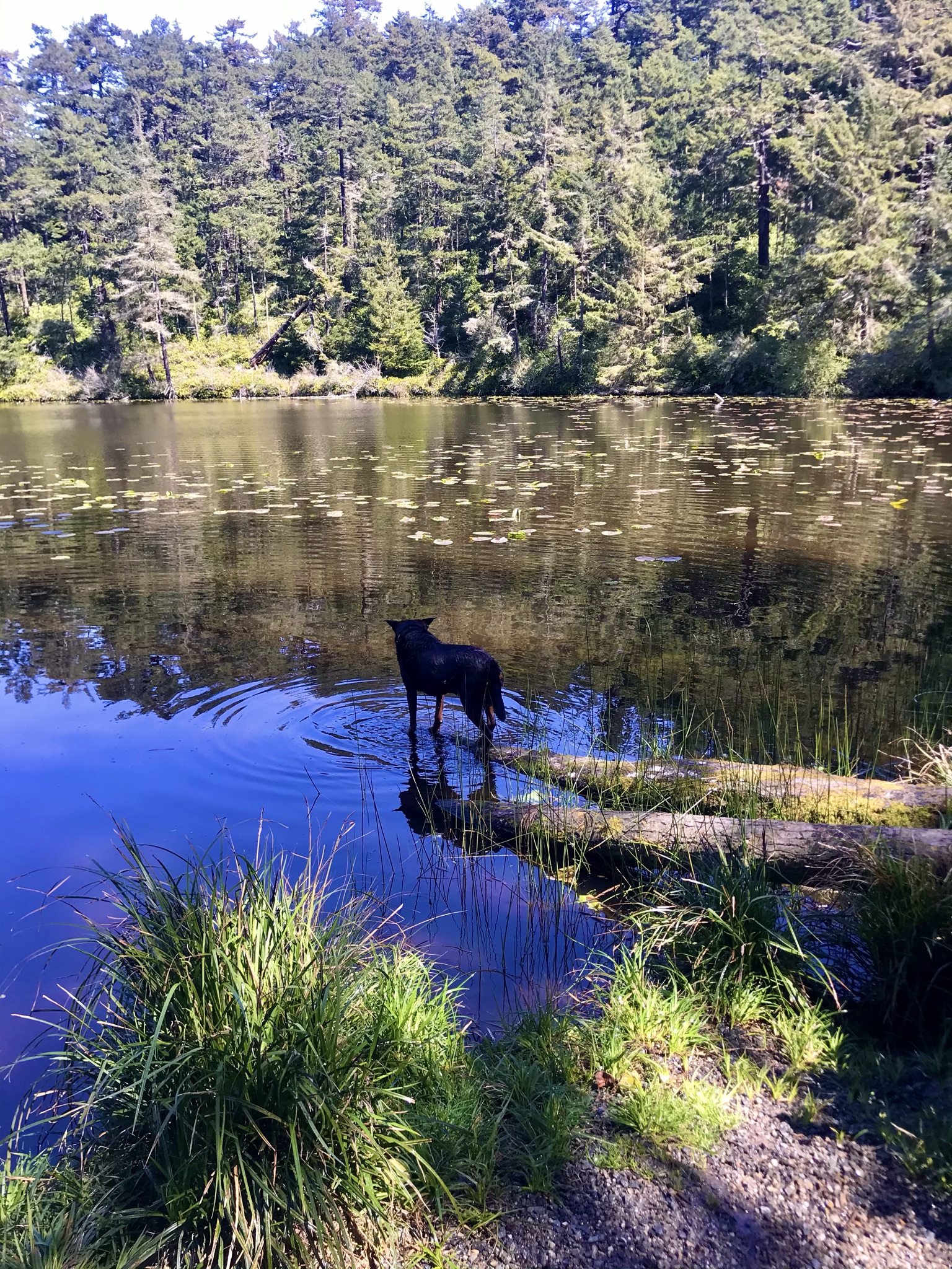 Fort Ebey State Park — Washington Trails Association