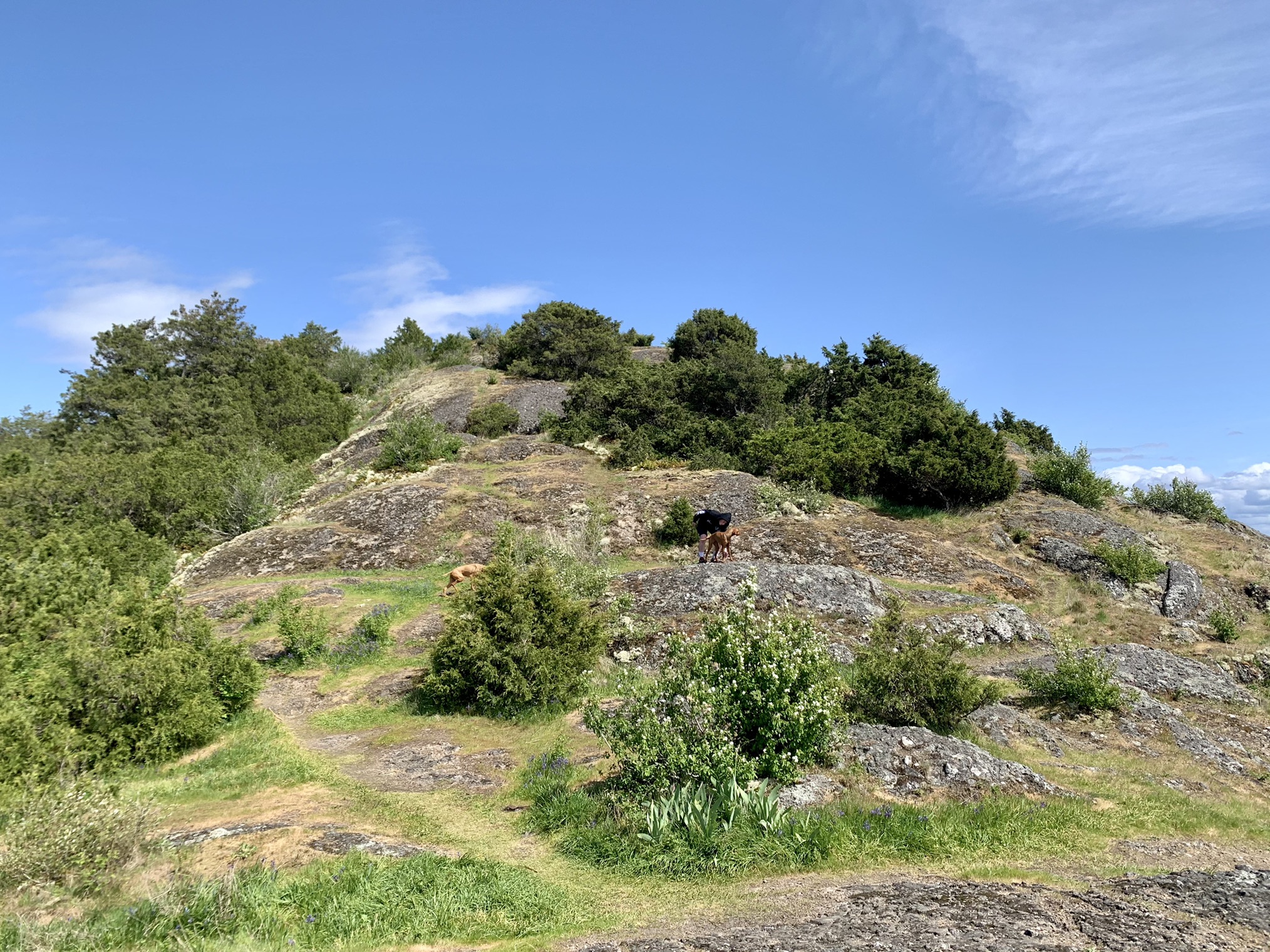 Craft Island — Washington Trails Association