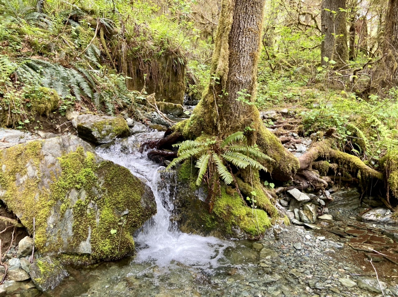Baker River — Washington Trails Association