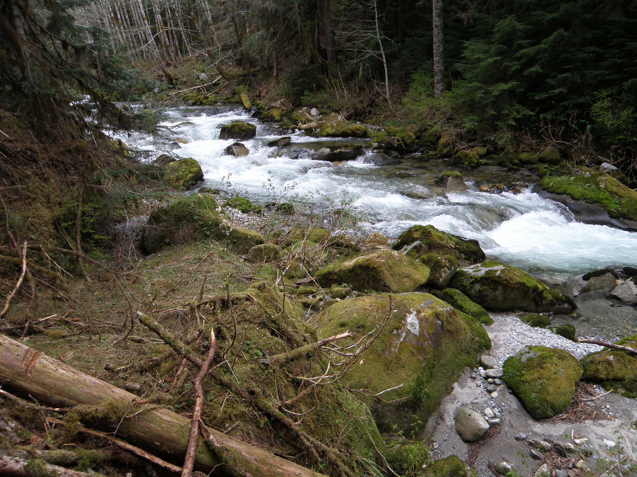 Newhalem Creek — Washington Trails Association