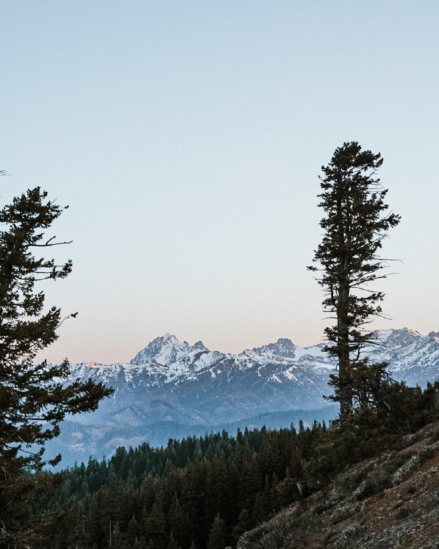 Red Top Lookout — Washington Trails Association