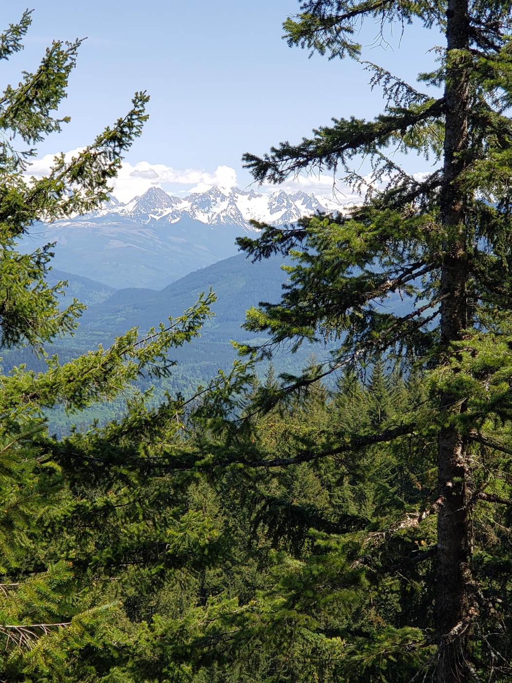 Lily and Lizard Lake Loop, North Butte, Oyster Dome — Washington Trails ...