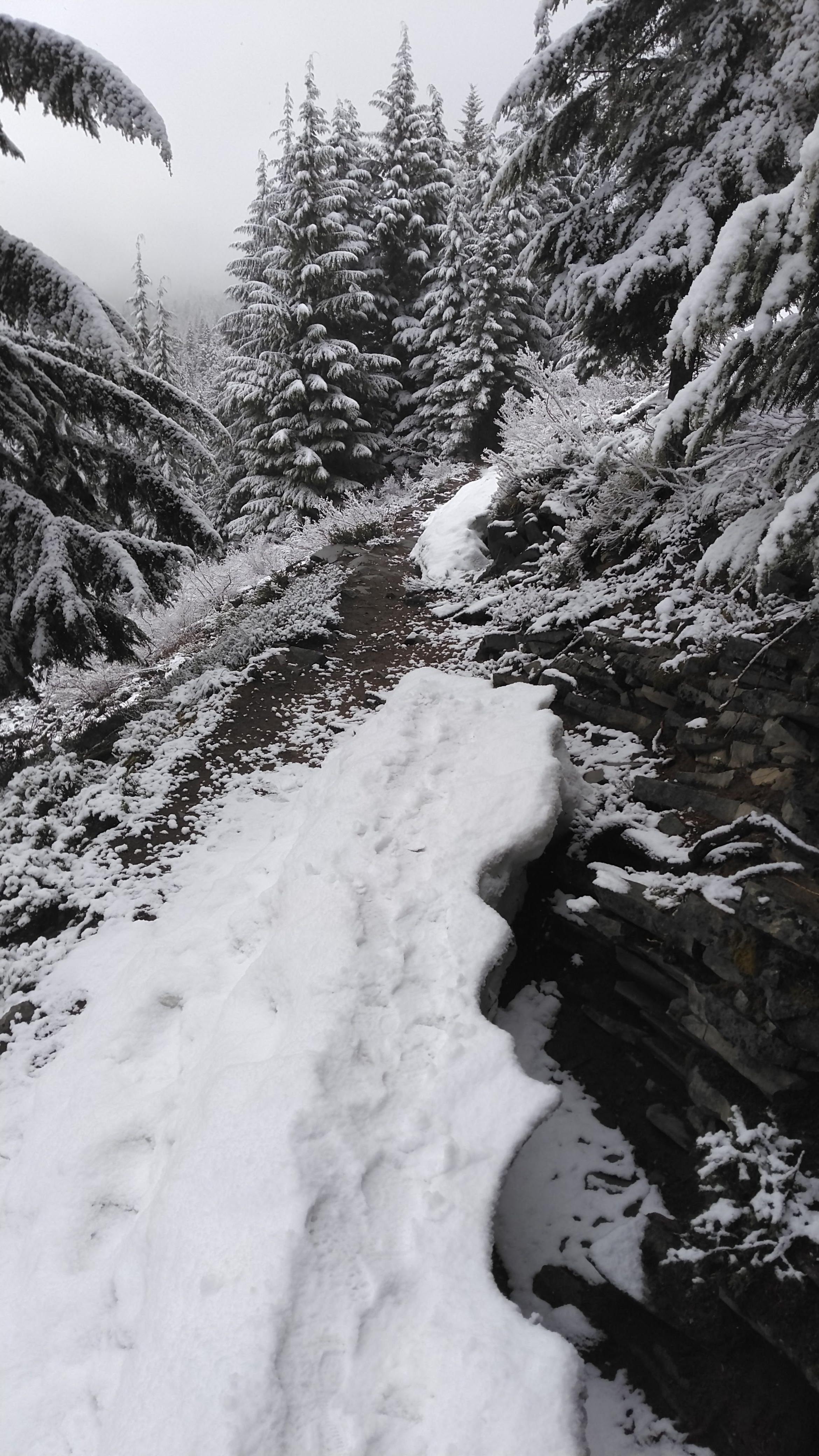 Rampart Ridge Loop, Pyramid Creek Camp — Washington Trails Association