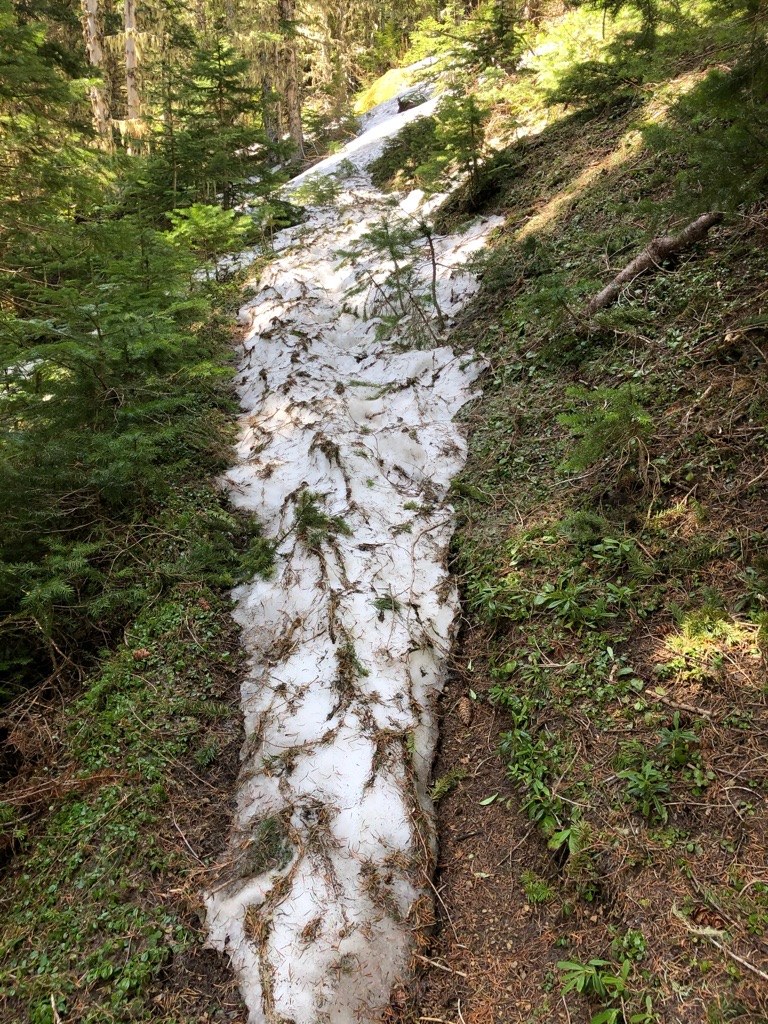 Heather Park — Washington Trails Association