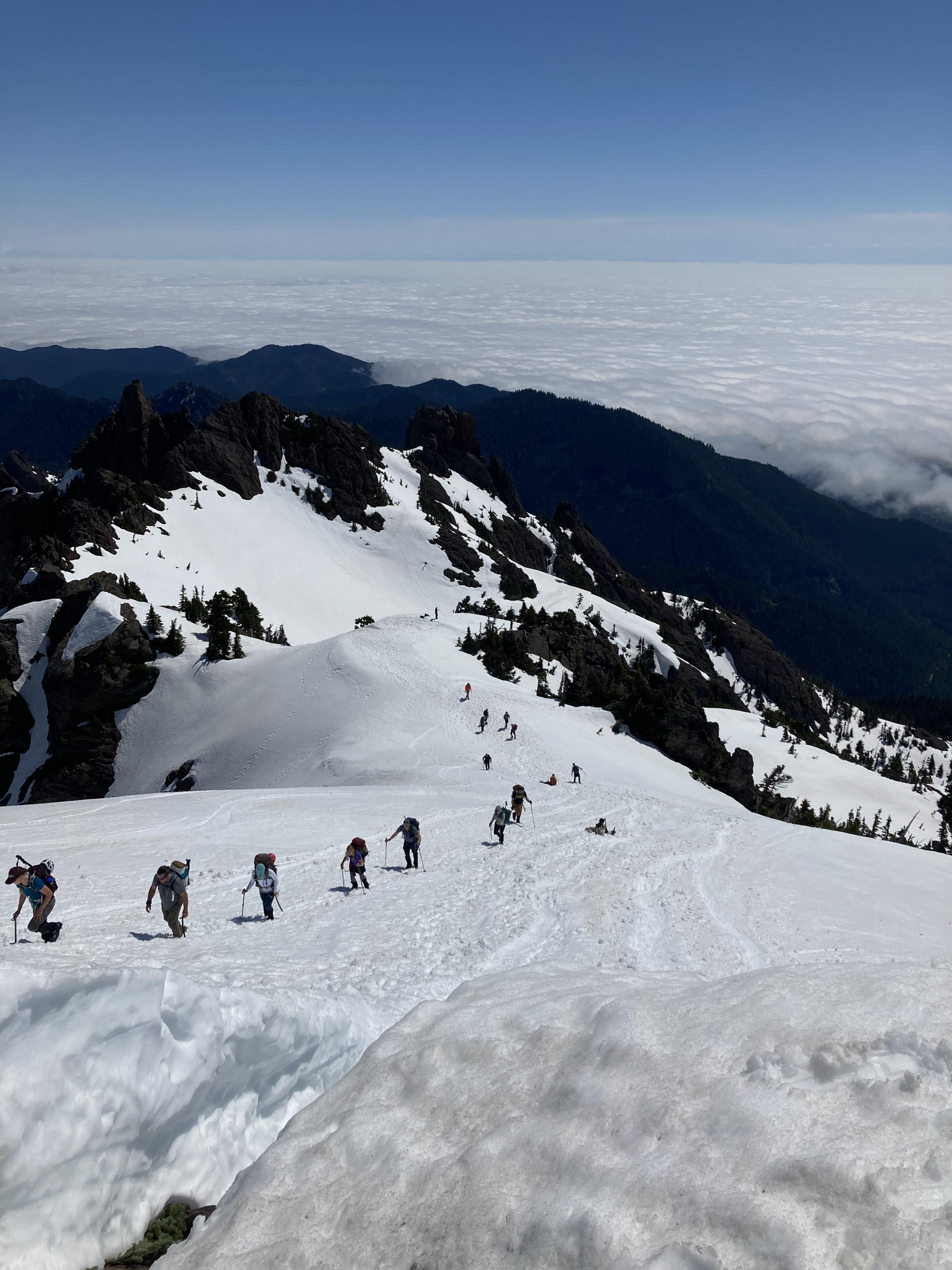 Mount Ellinor — Washington Trails Association