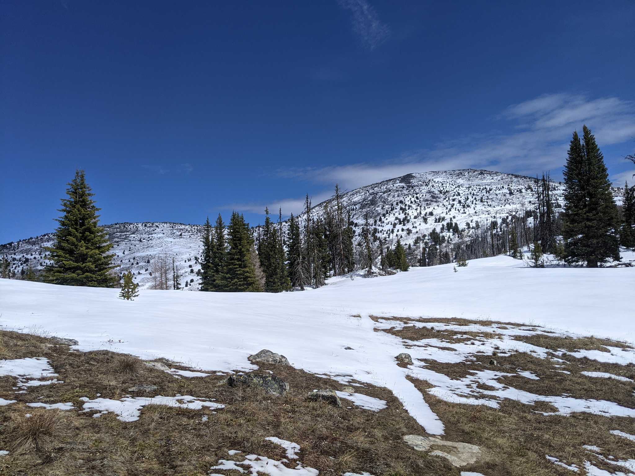 Tiffany Mountain via Freezeout Ridge — Washington Trails Association
