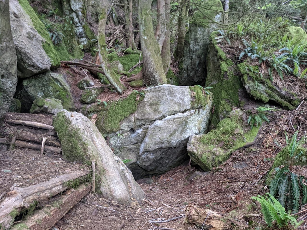 Larrabee State Park - Rock Trail — Washington Trails Association