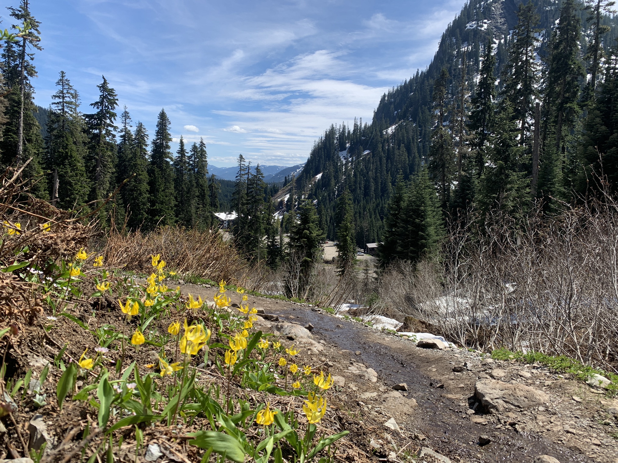 Snow Lake — Washington Trails Association