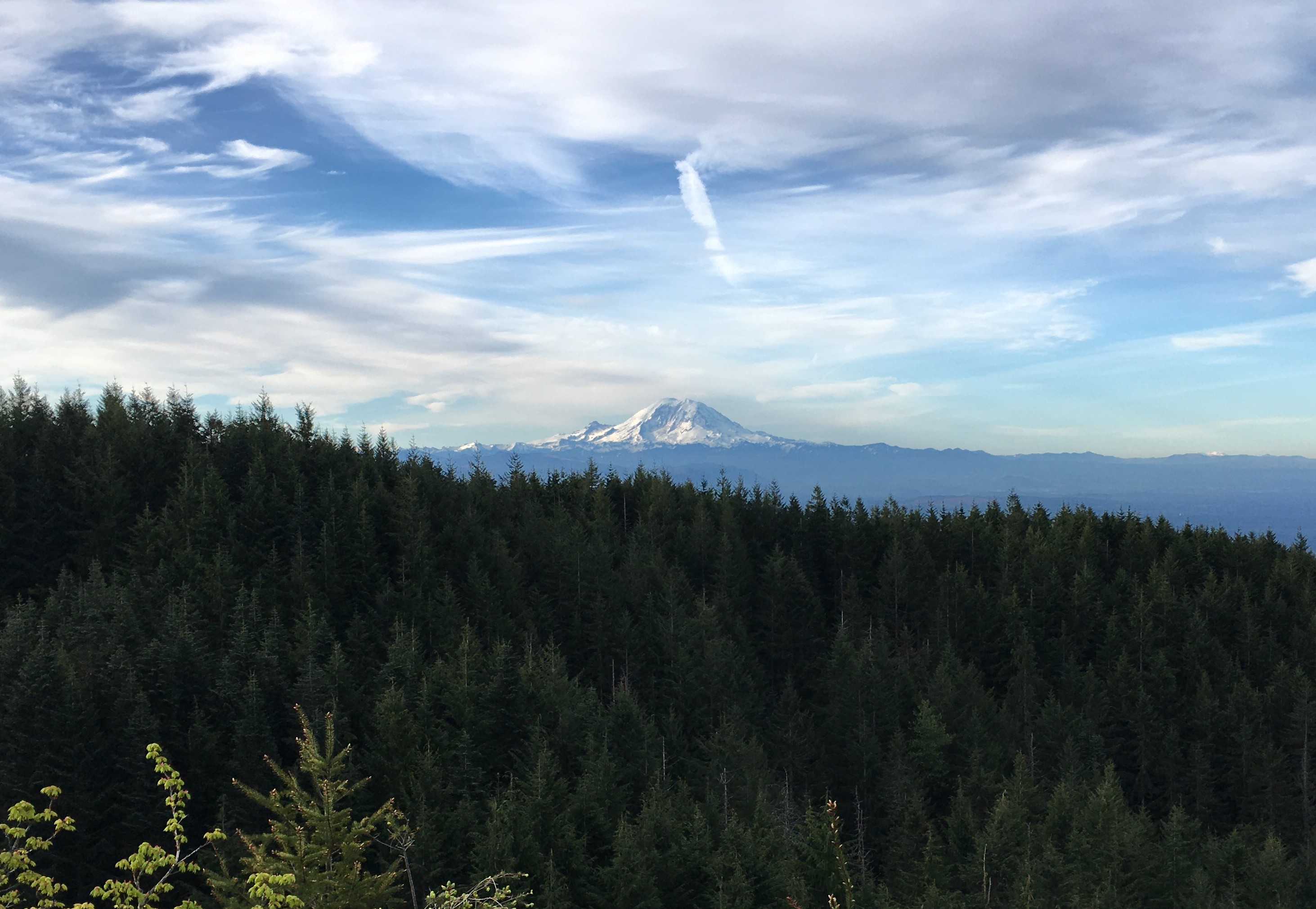 Cable Line Trail, West Tiger 2, Poo Top, Tiger Mountain Road ...