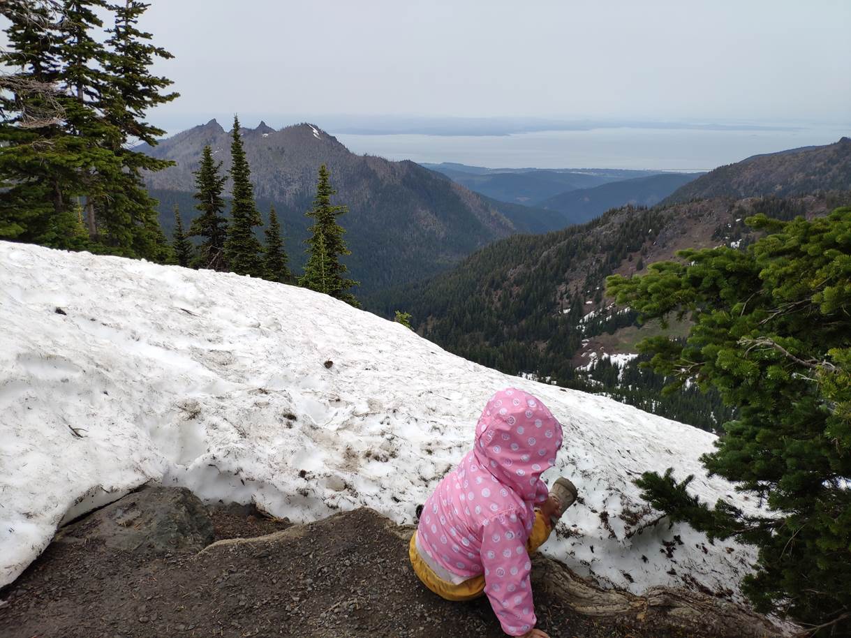 Sunrise Point Trail — Washington Trails Association