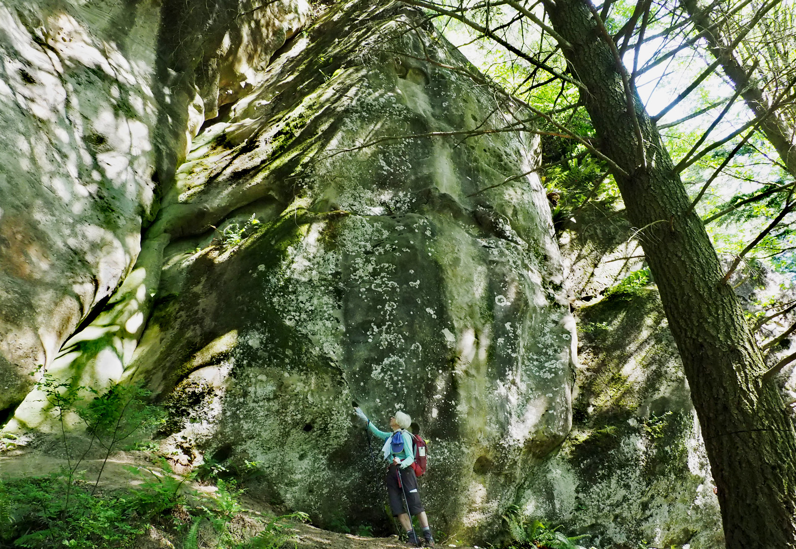 Larrabee State Park - Rock Trail, Larrabee State Park - South Lost Lake ...