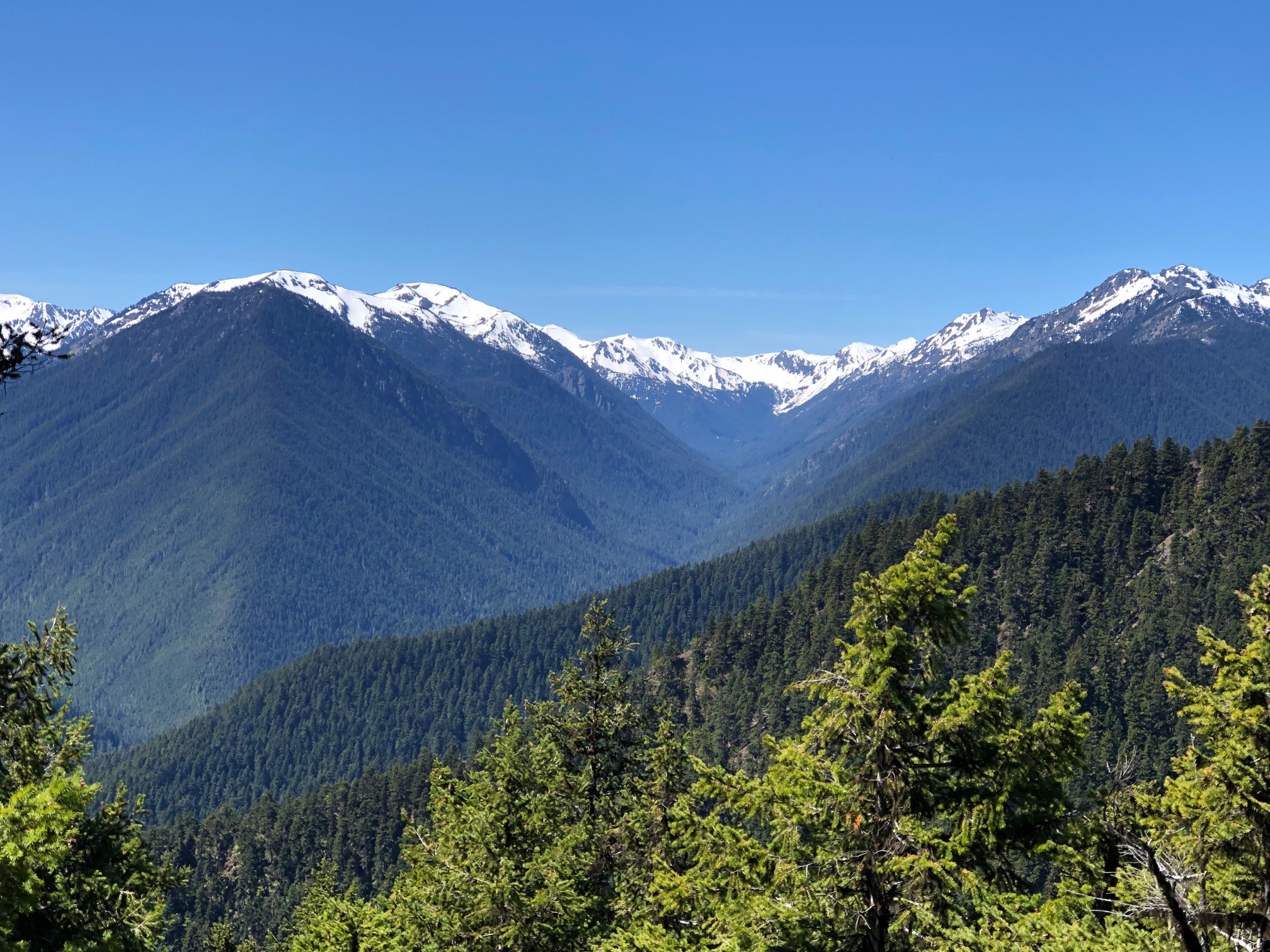 Deer Ridge, Rain Shadow Loop — Washington Trails Association