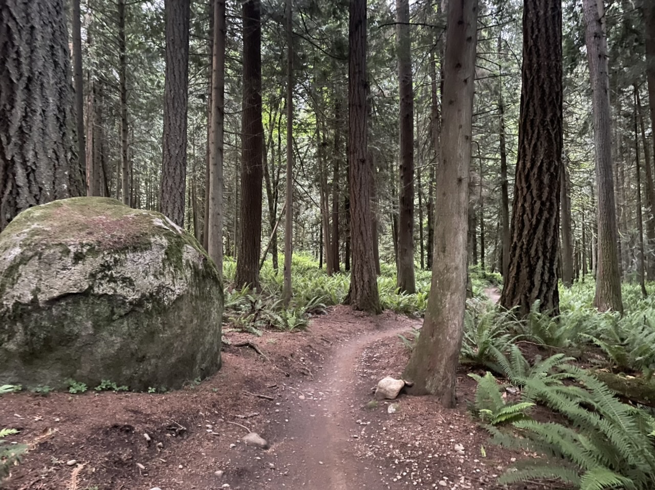 Grand Ridge Park — Washington Trails Association