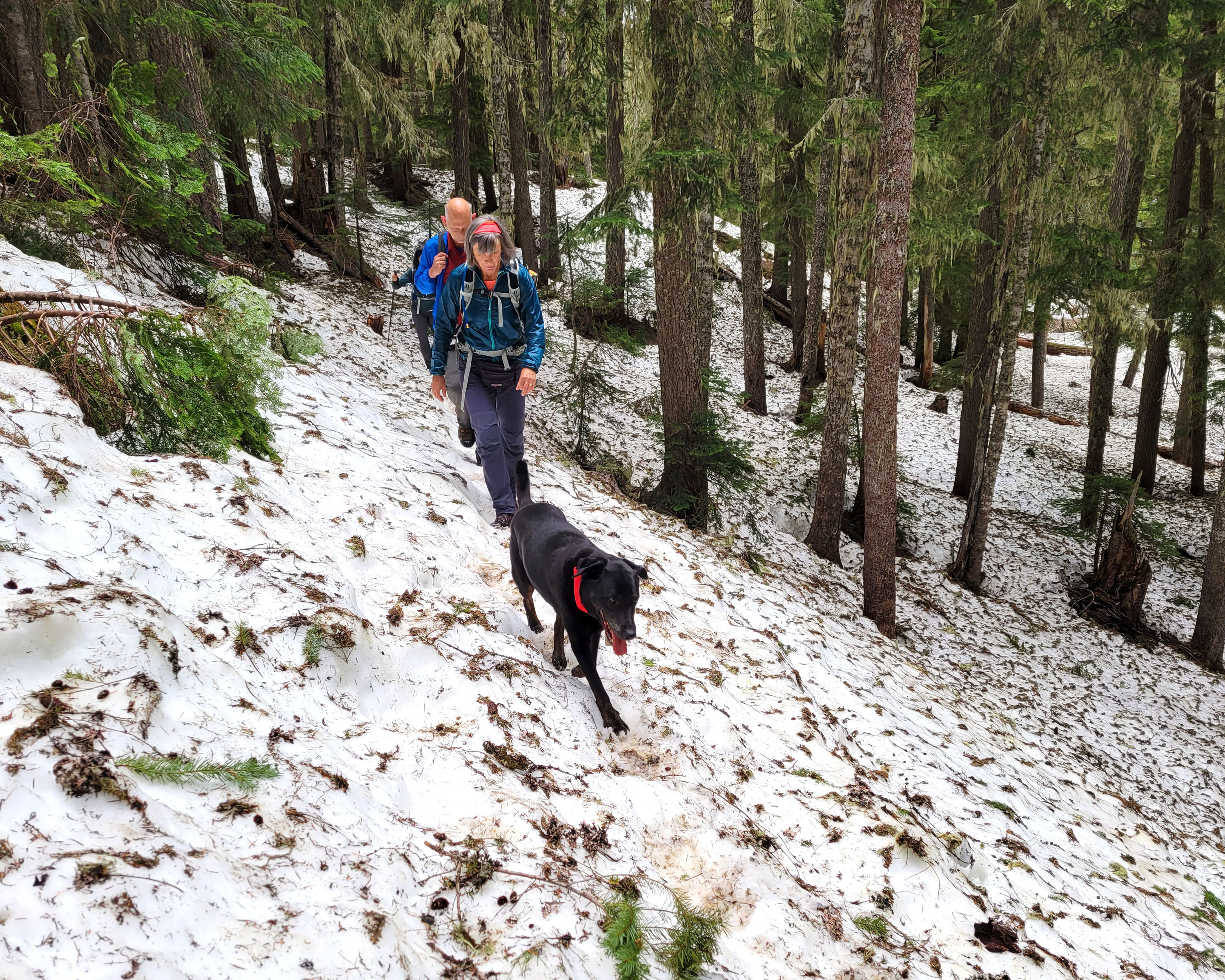 Kachess Ridge / Kachess Beacon — Washington Trails Association