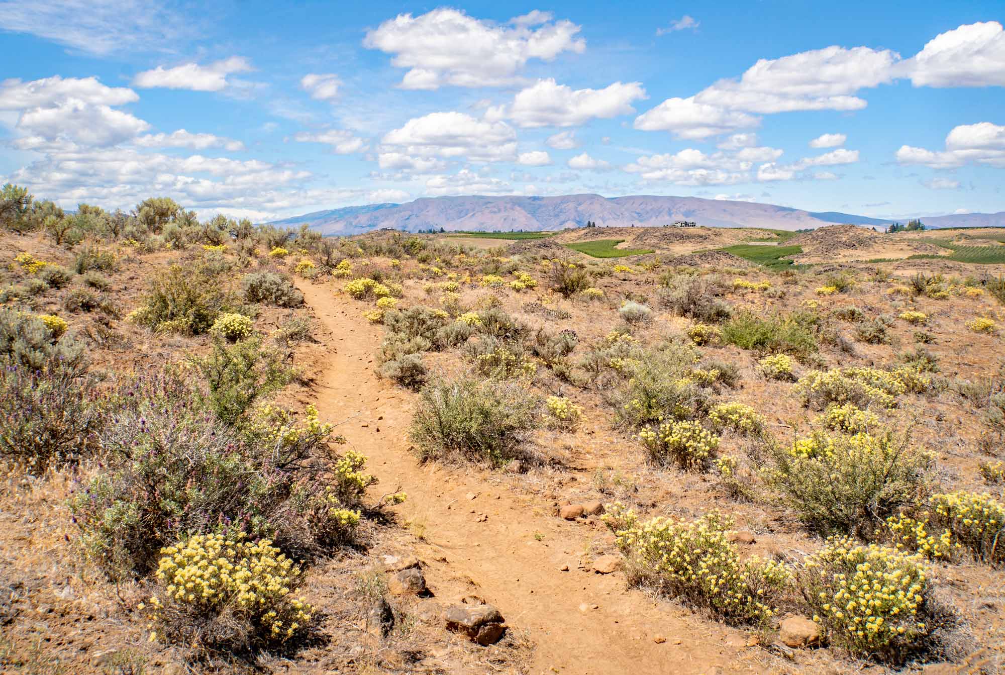 Cowiche Canyon Preserve — Washington Trails Association