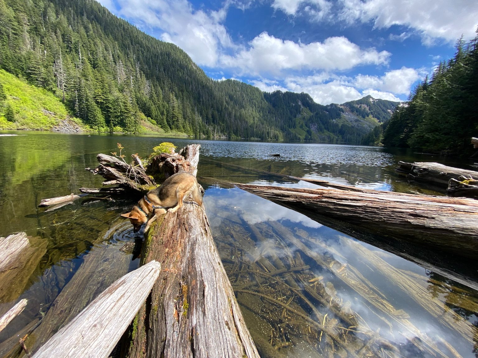 Lake Isabel — Washington Trails Association