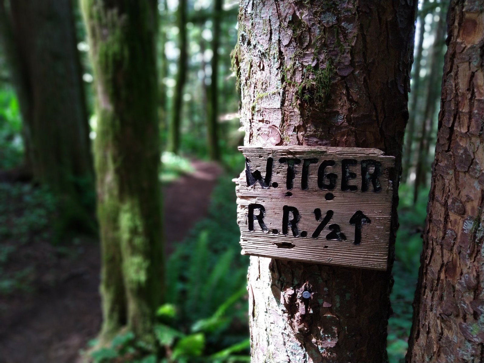 Cable Line Trail, West Tiger 3, West Tiger 2, Preston Trail, West Tiger ...