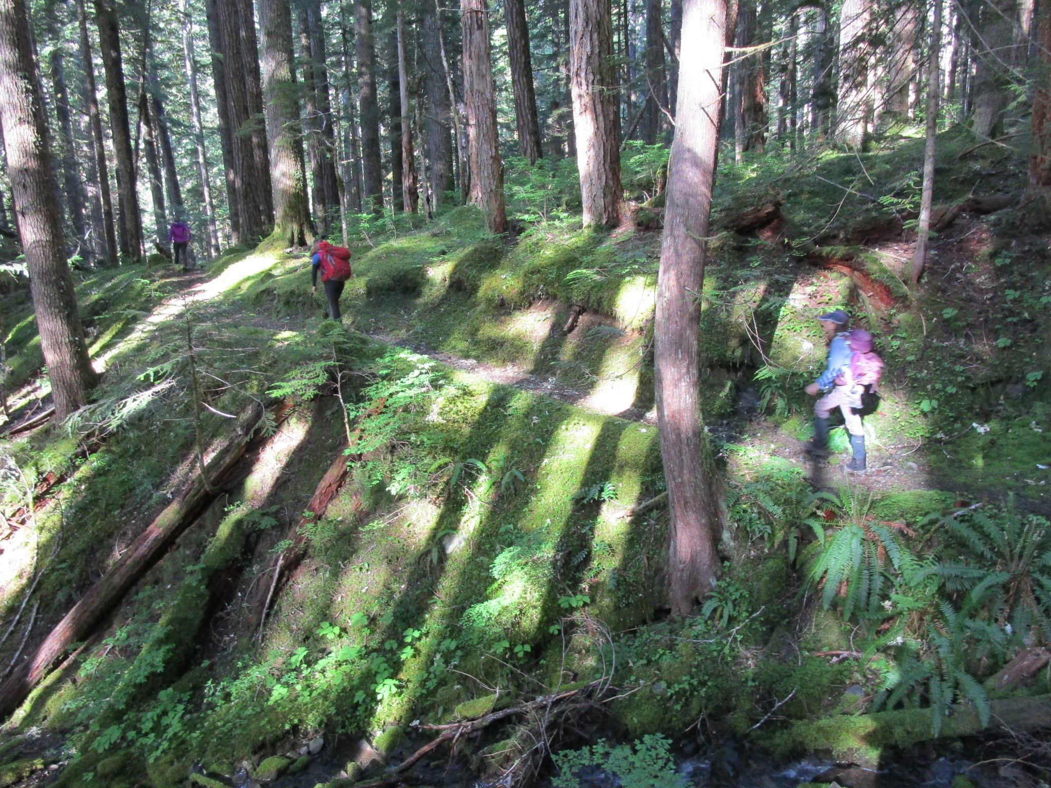 Olympic Hot Springs, Appleton Pass, Boulder Lake (Olympics ...