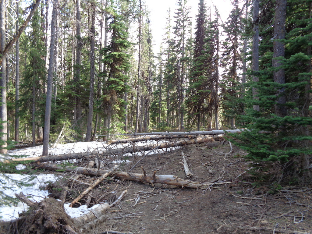 Sawtooth Ridge — Washington Trails Association