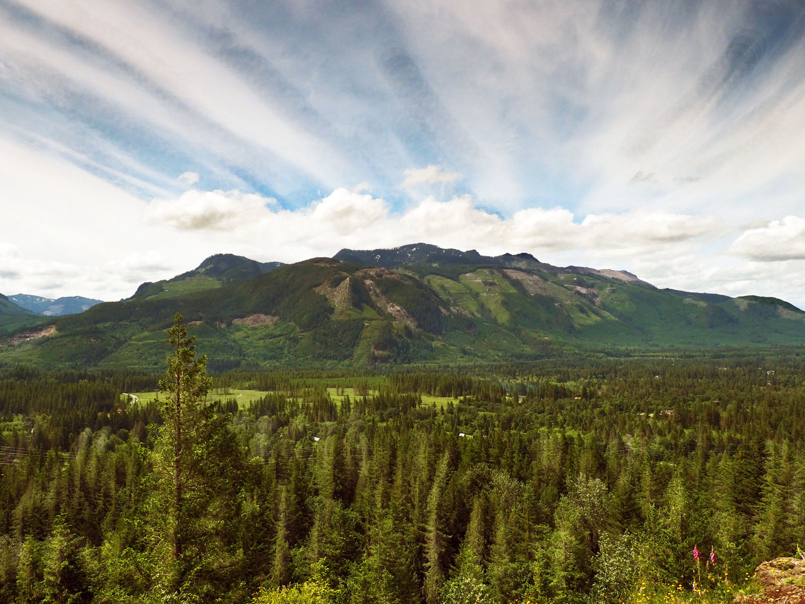 Reiter Foothills Forest Trails — Washington Trails Association