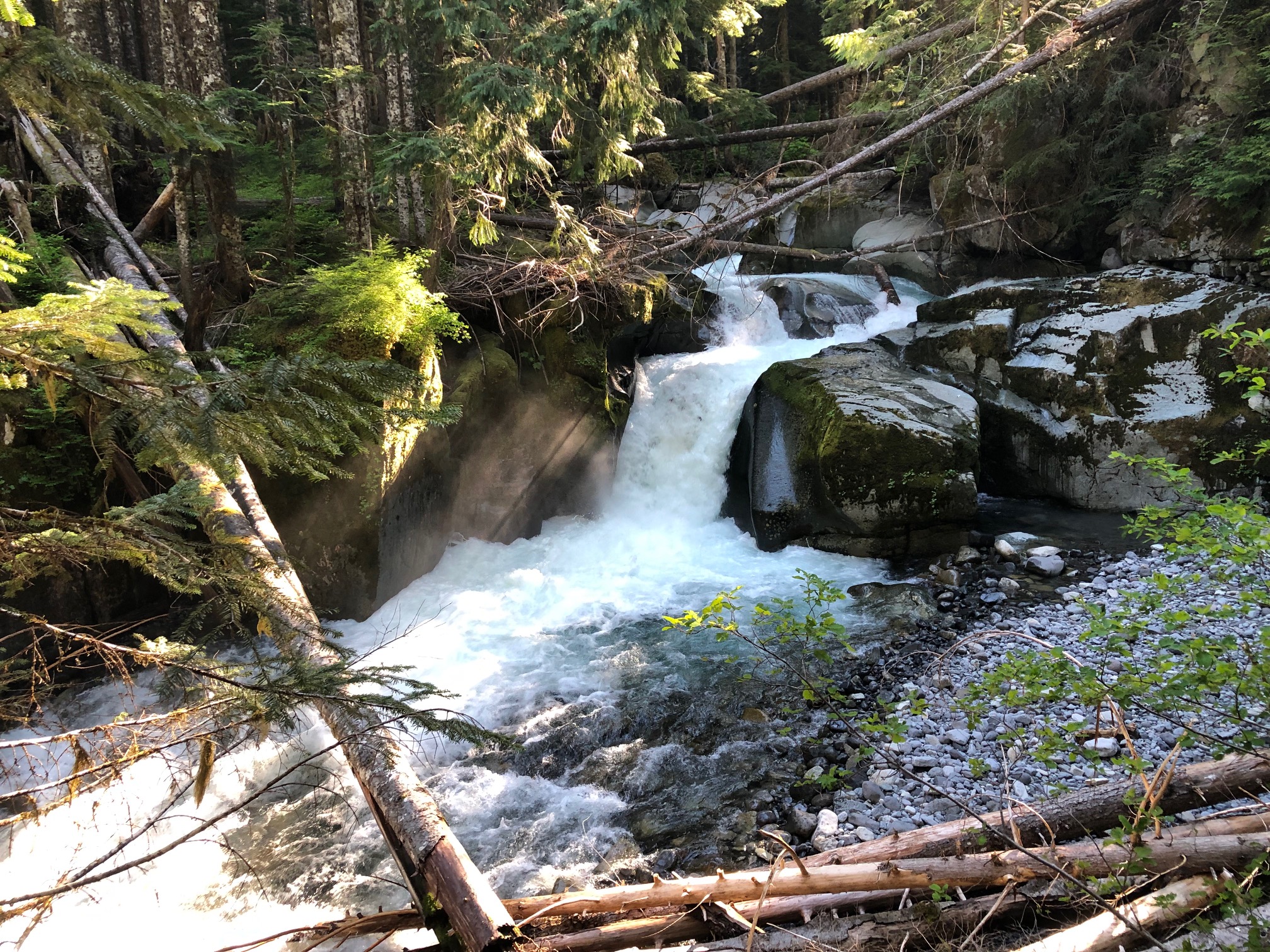 Stevens Canyon Waterfalls — Washington Trails Association