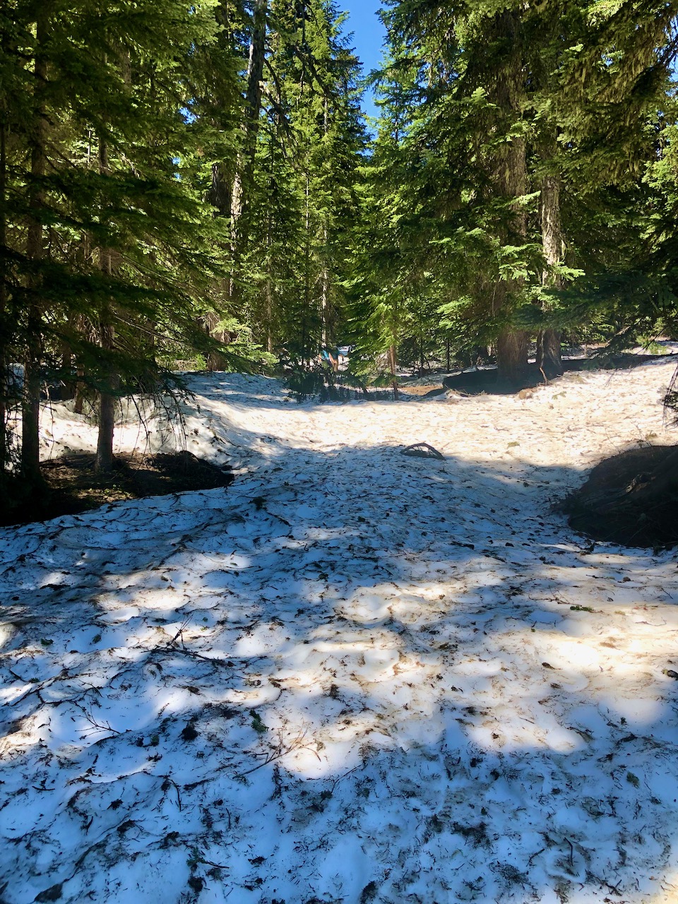 Thorp Mountain Lookout via Thorp Creek — Washington Trails Association
