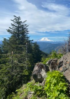 Mount Washington — Washington Trails Association