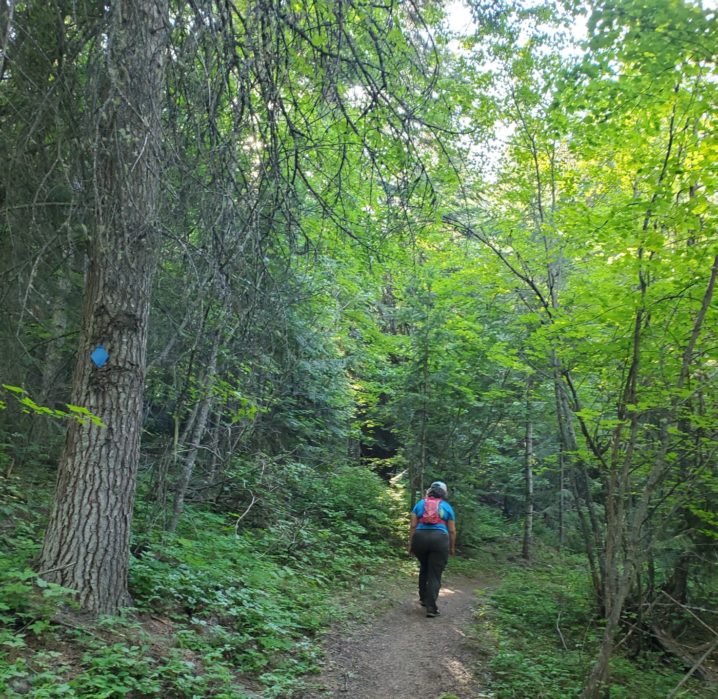 Field Springs State Park - Puffer Butte — Washington Trails Association