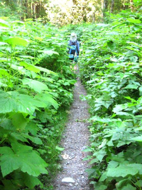 Mine Road Trail — Washington Trails Association