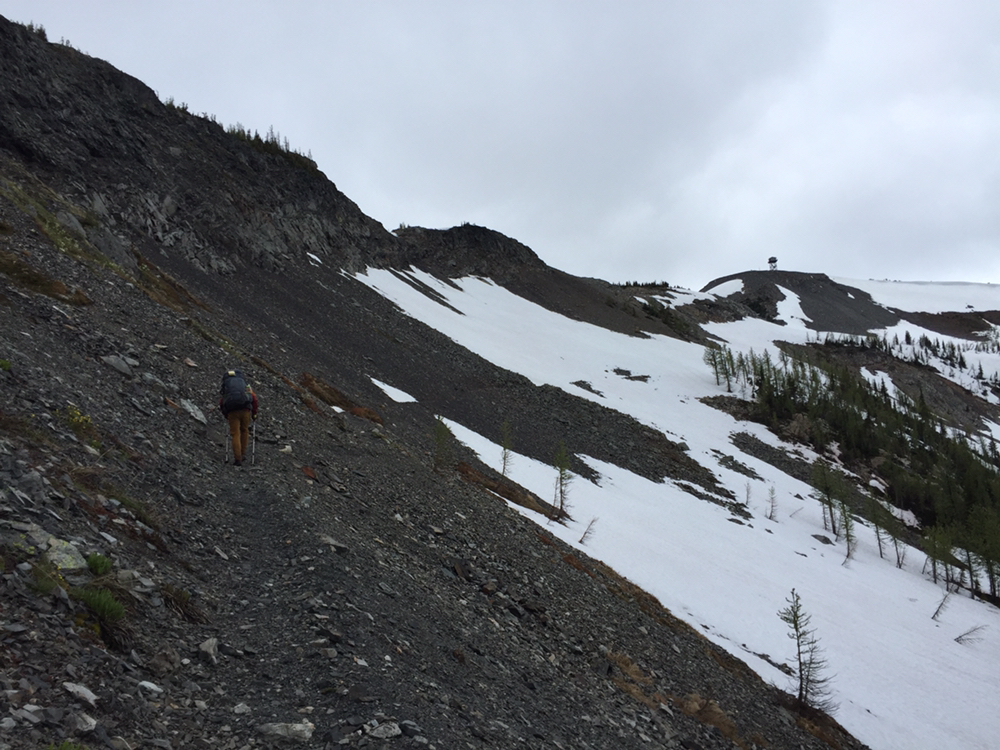 Seven Pass Loop (Pasayten) — Washington Trails Association