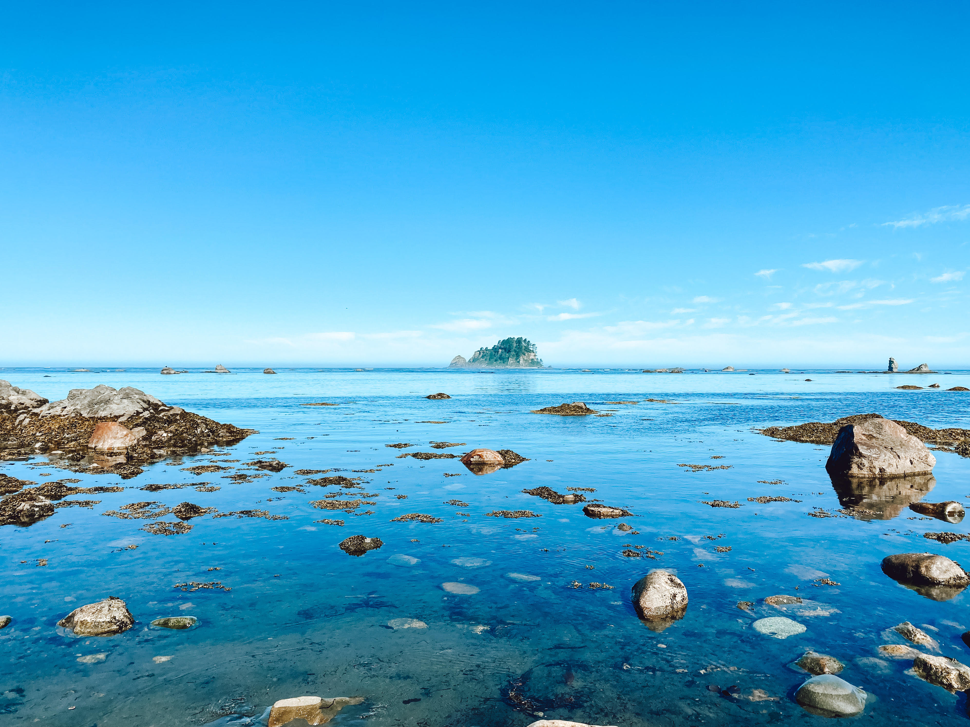 Cape Alava Loop (Ozette Triangle), Yellow Banks — Washington Trails ...