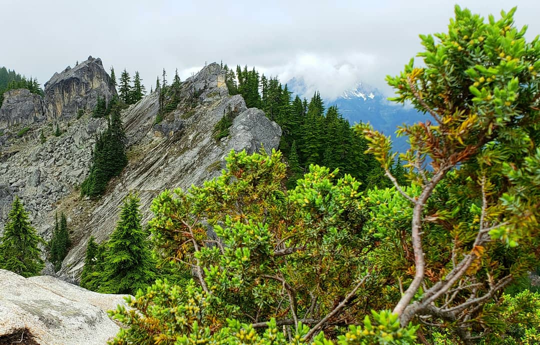 Beckler Peak — Washington Trails Association