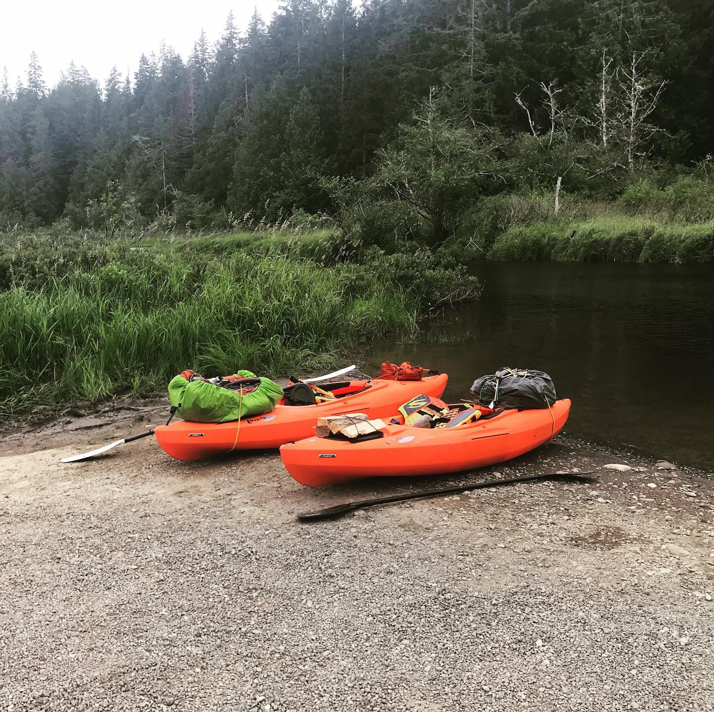 Ericson's Bay, Sand Point — Washington Trails Association