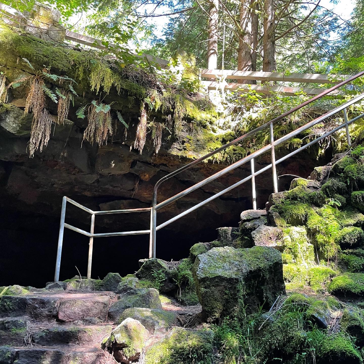 Ape Caves — Washington Trails Association