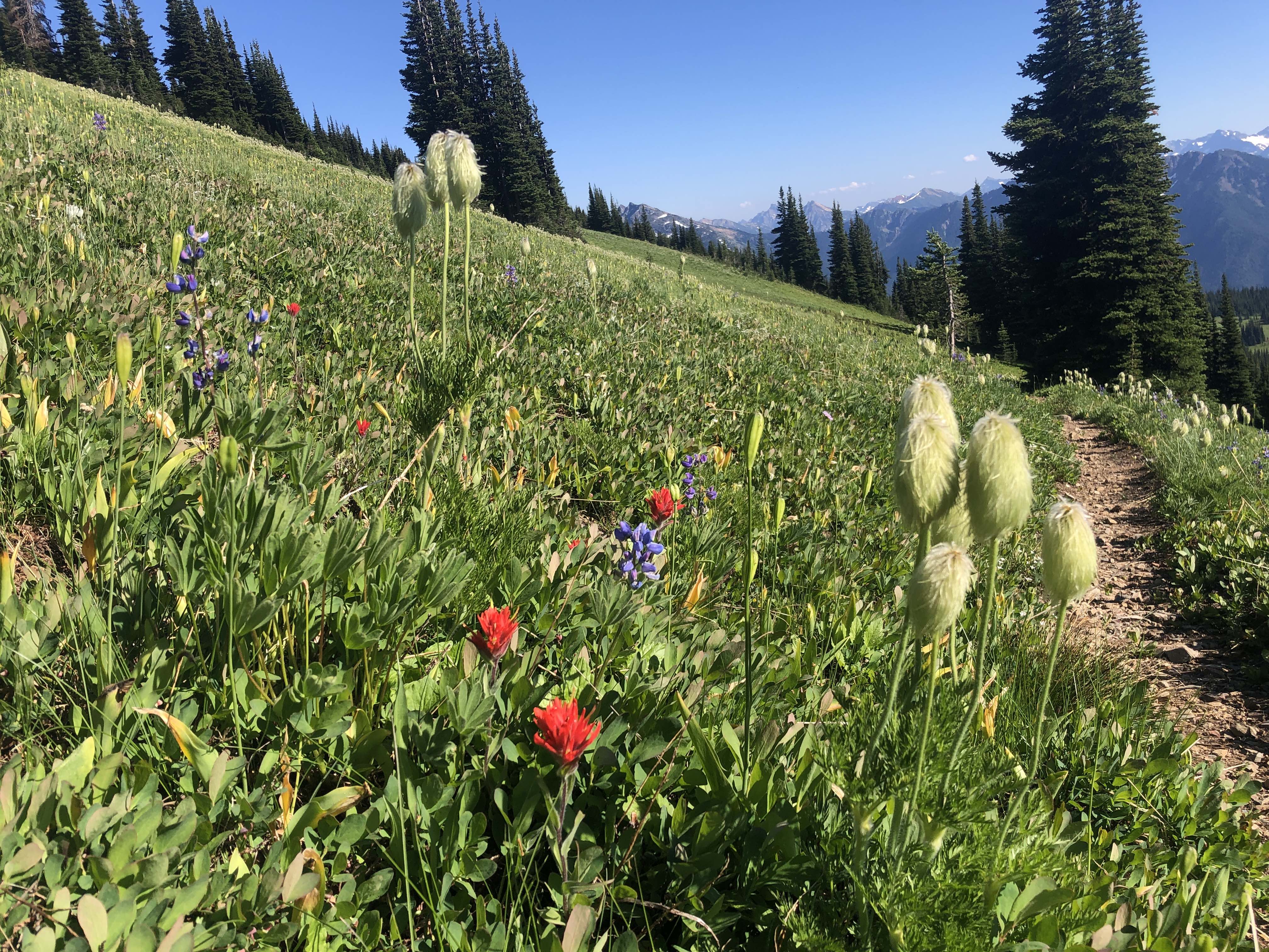 Buckskin Ridge, Rock Creek, Jackita Ridge, Devil's Ridge — Washington ...