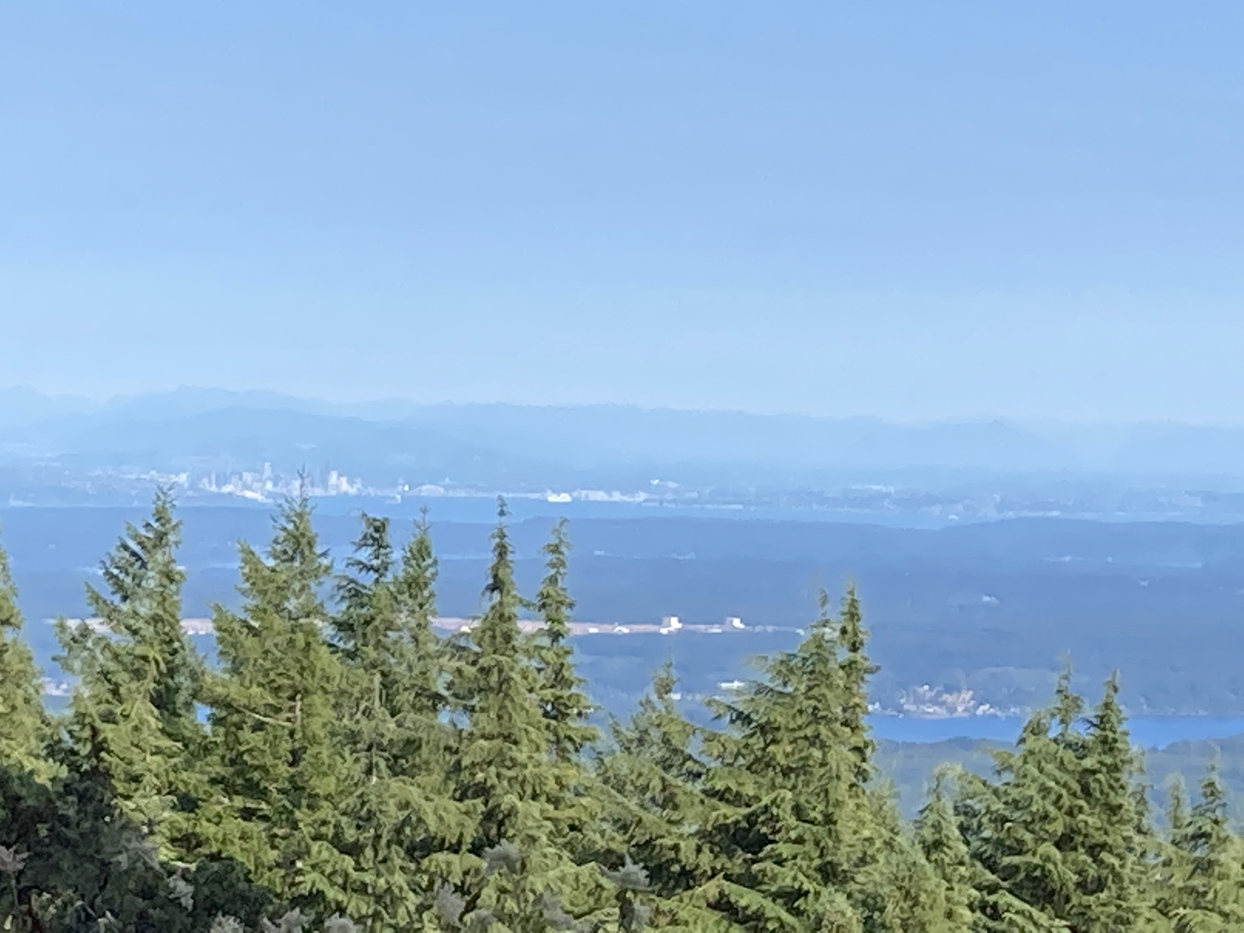 Mount Walker — Washington Trails Association