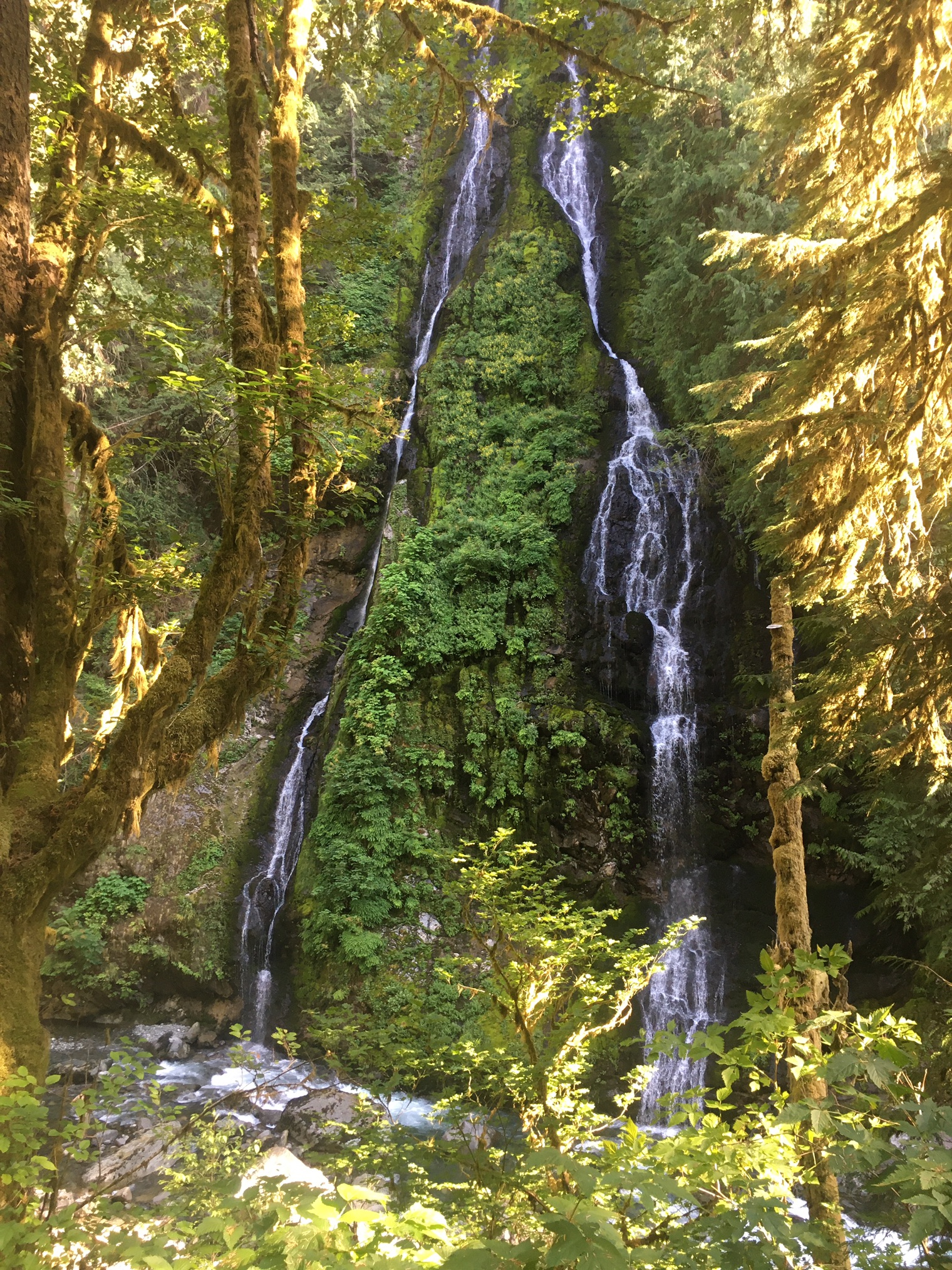 Boulder River — Washington Trails Association