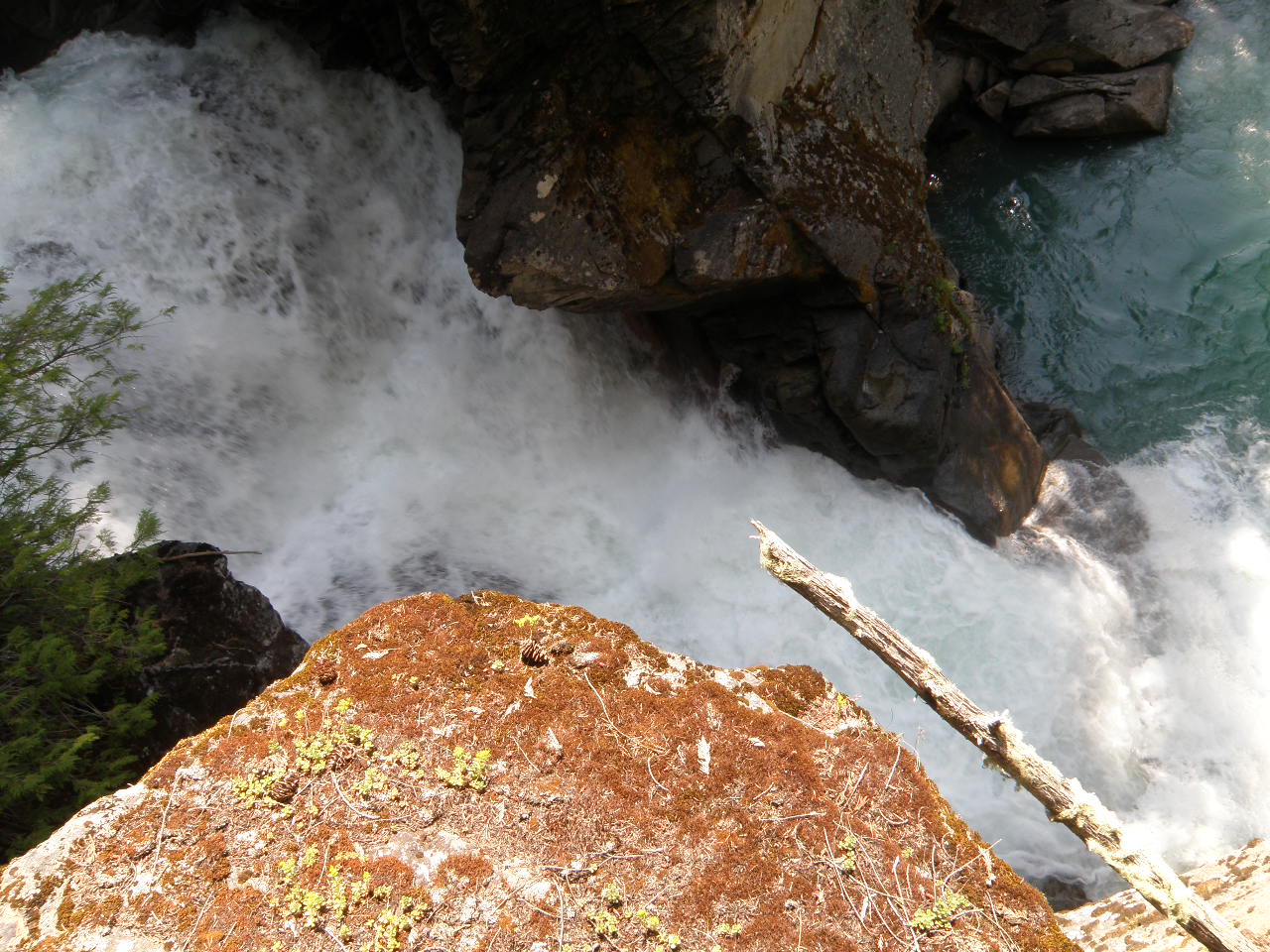 Mount David — Washington Trails Association